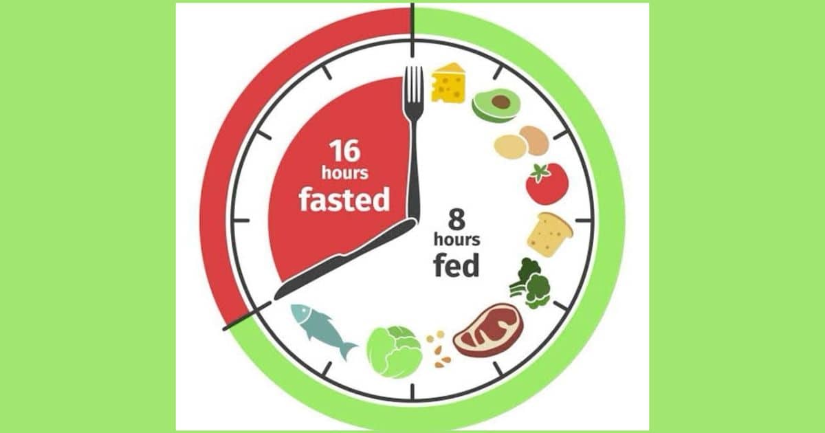 16/8 Intermittent Fasting Diet Plan - Autophagy Path